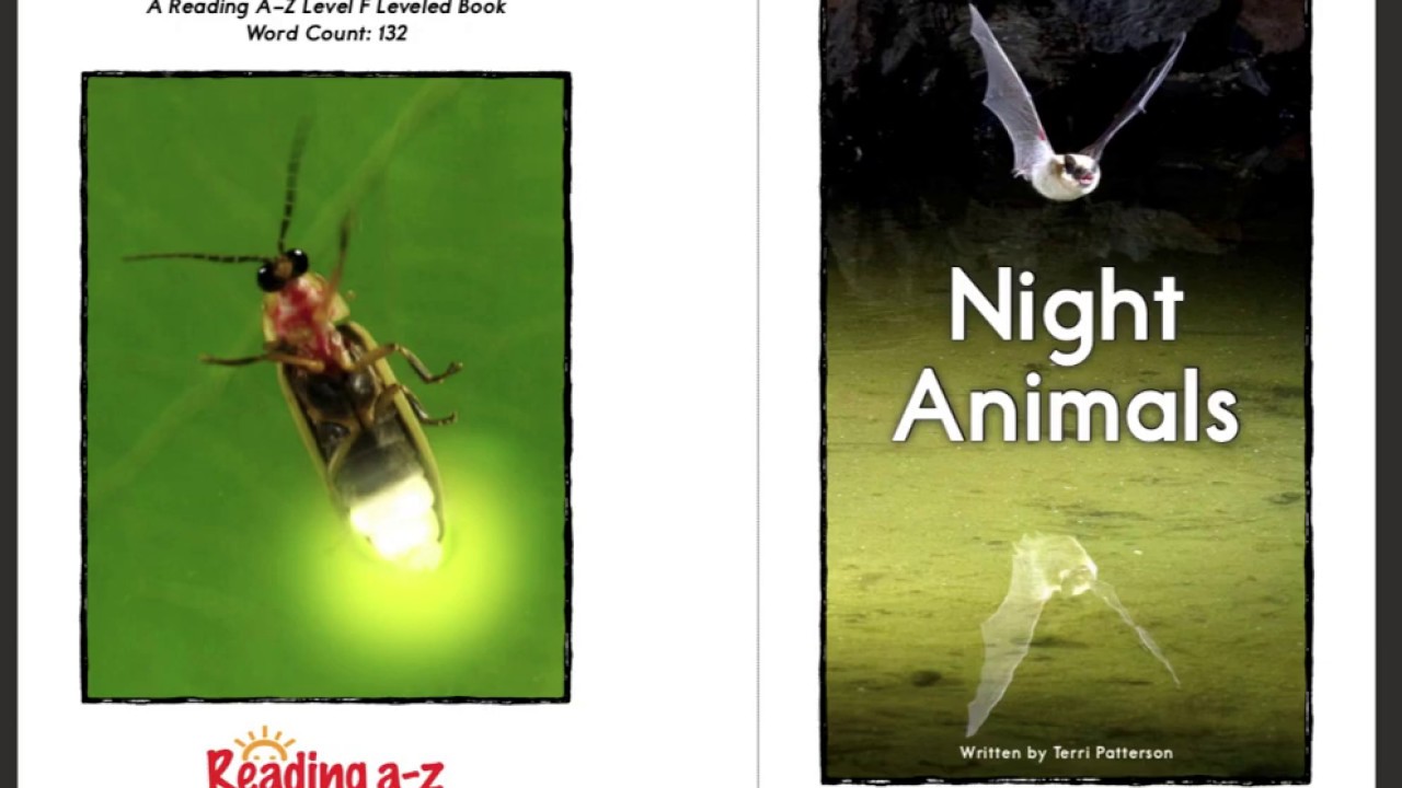 Night Animals Reading A-Z - YouTube
