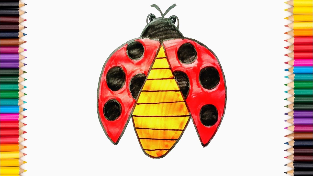 Miraculous Ladybug Drawing || How to Draw Lady Bug Step by Step - YouTube
