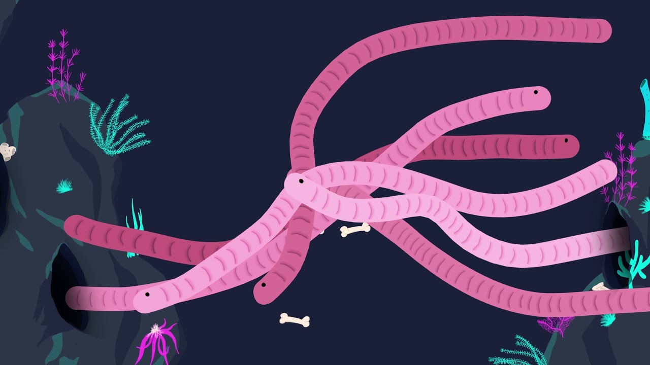 Weird Fishes - Radiohead (motion design) - YouTube