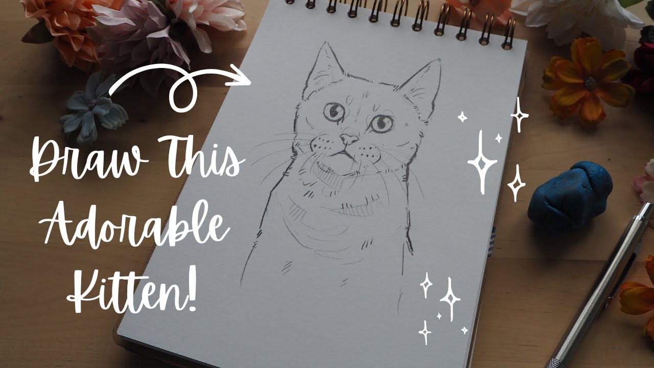 How to draw an adorable kitten portrait! Draw along Tutorial, simple ...