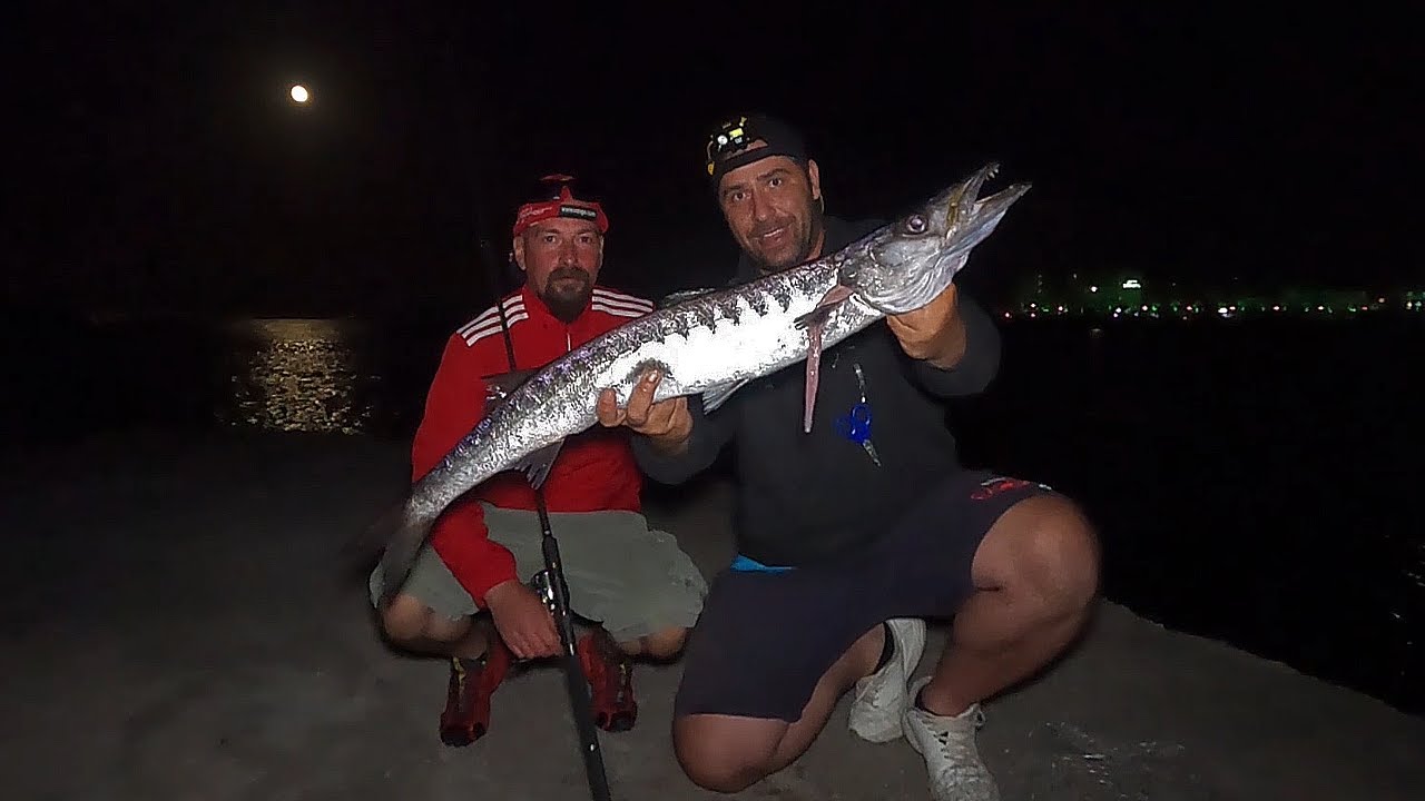 Fish On Quest ️ ΨΑΡΕΜΑ στήν ΧΙΟ | Part 1 | ΨΑΡΙΑ στό ΛΙΜΑΝΙ - ZAVRAS ...