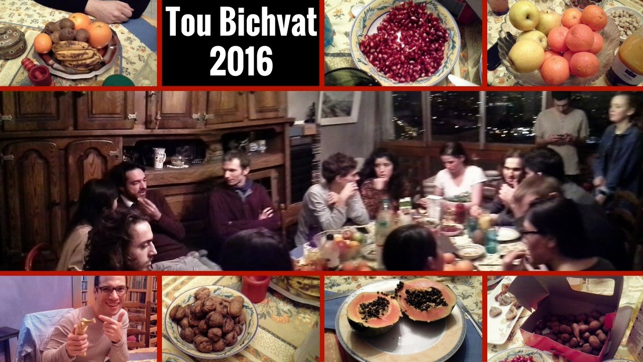Tou Bichvat 2016 - la fête juive des fruits - Le Paradis sur Terre ...