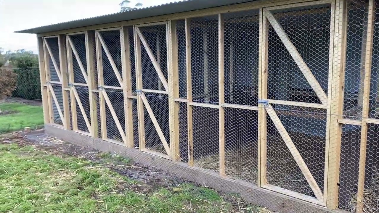 The Poodle and the Hen | Breeding pens built by @thepoodleandthehen ...
