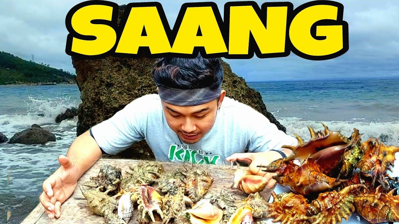 GINATAANG SAANG | SEA FOODS | PARENG GERPH - YouTube