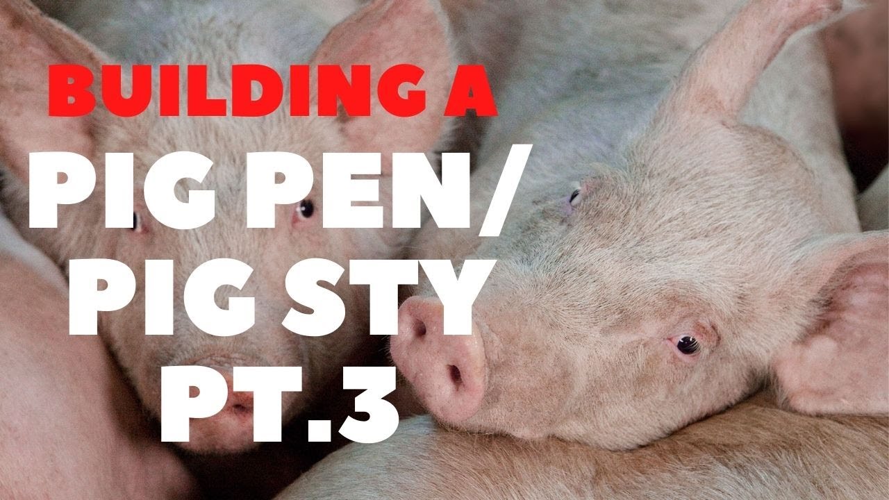 HOW TO BUILD A PIG PEN / PIG STY (PART 3) - YouTube