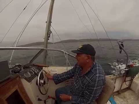 Rock Cod fishing off the coast of California - YouTube