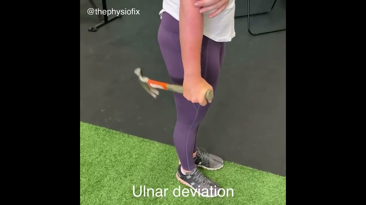 Ulnar Deviation Muscles