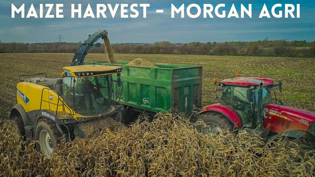 Morgan-Agri Maize Harvest 2020. New Holland FR550, JCB 4220 Fastrac ...