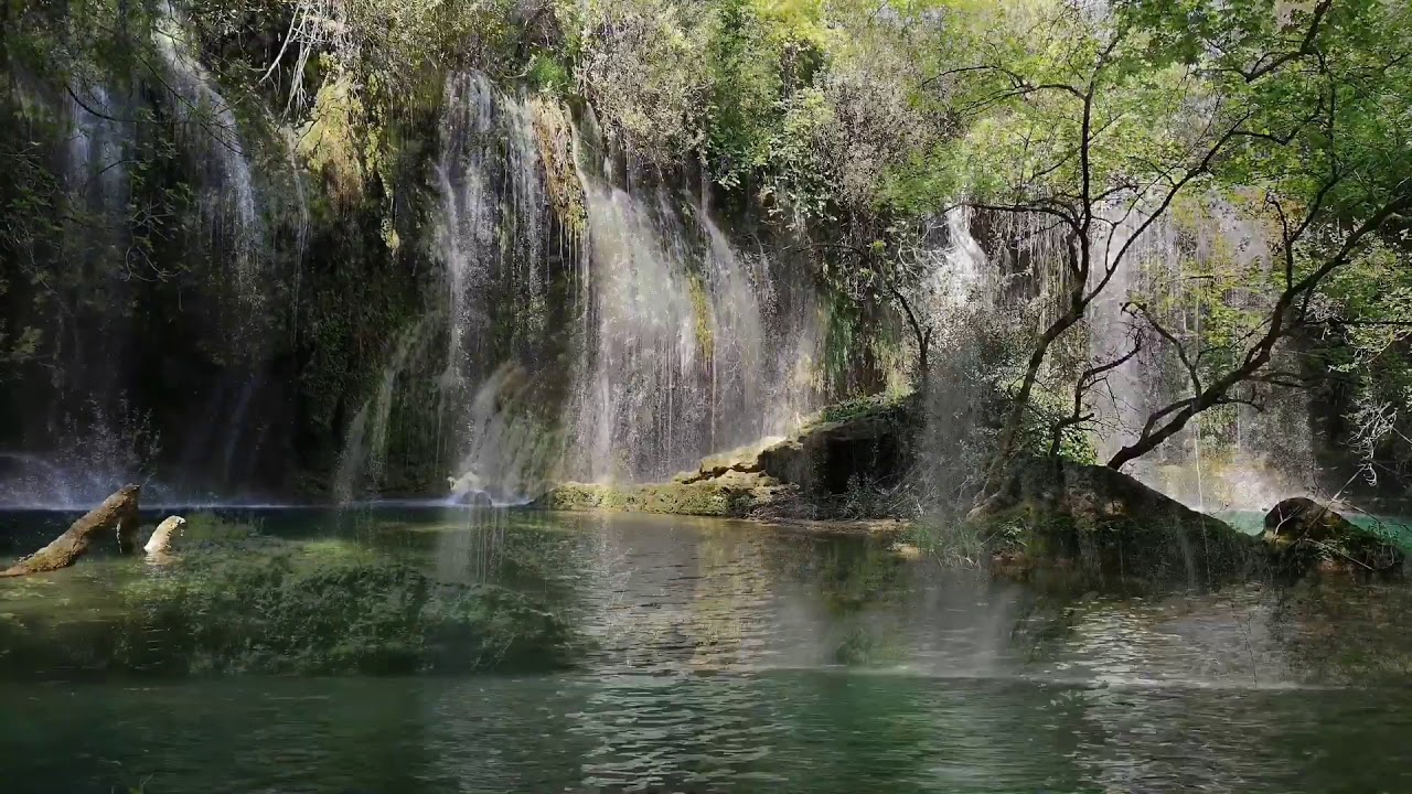 Nature song - YouTube