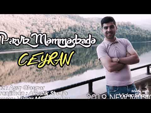 Perviz M-Zade CEYRAN