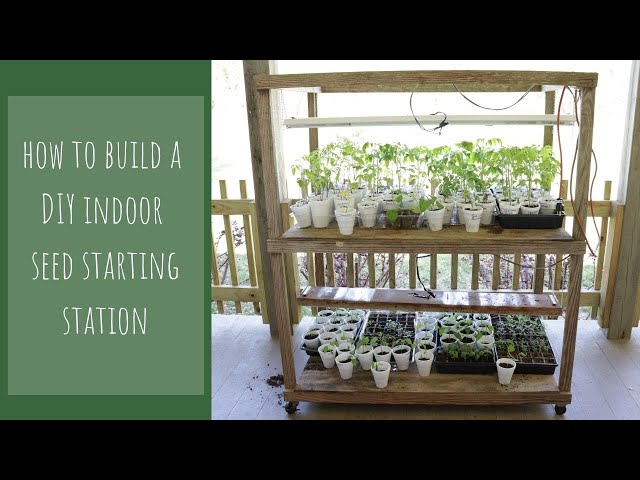 Seed Starting Stand Plans