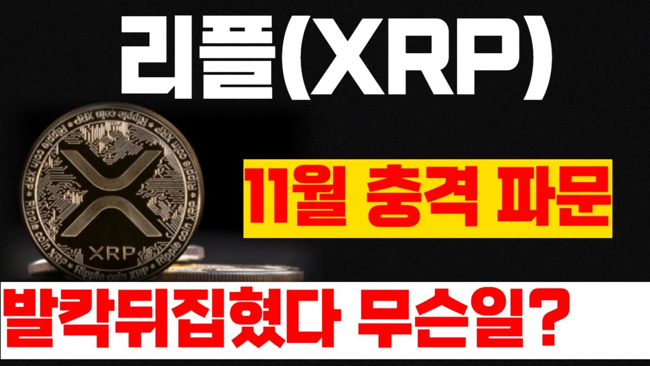리플 11월 충격파문 발칵뒤집혔다 지금부터 이것 모르면 정말 11월 견디지 못합니다 Xrp 리플xrp 리플전망 리플
