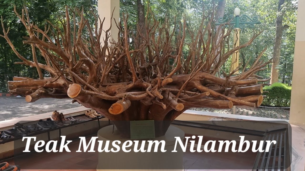 Teak Museum- Nilambur - YouTube