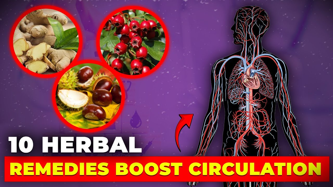 Boost Circulation Naturally: 10 Powerful Herbal Remedies for Energy ...