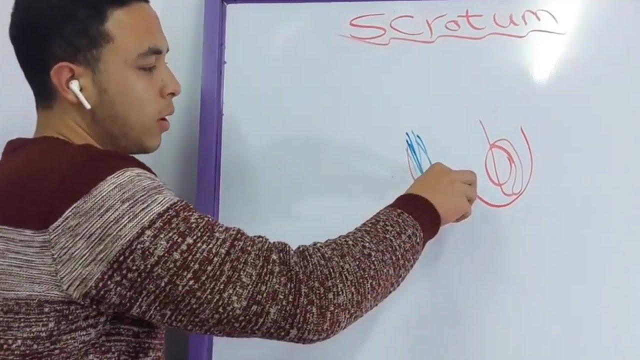 Scrotum Youtube