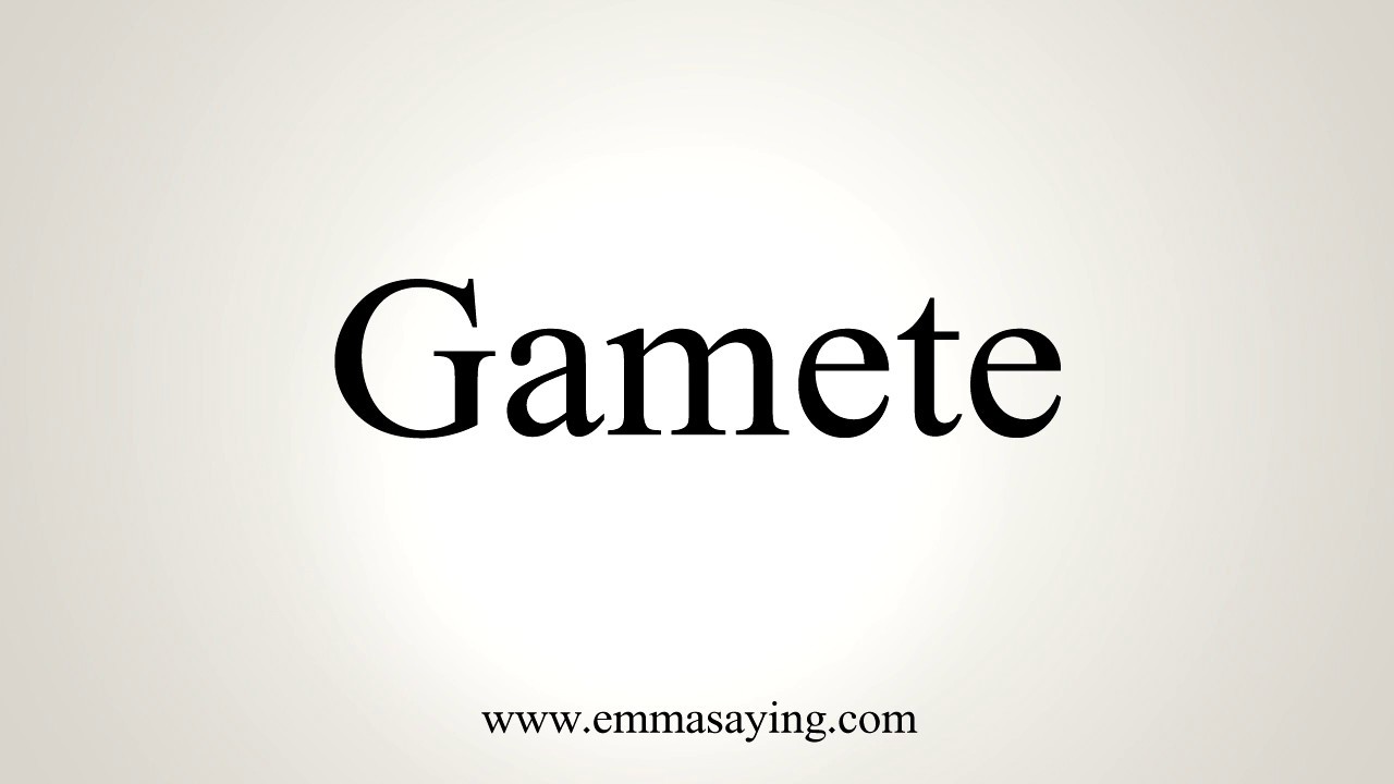 How To Pronounce Gamete - YouTube