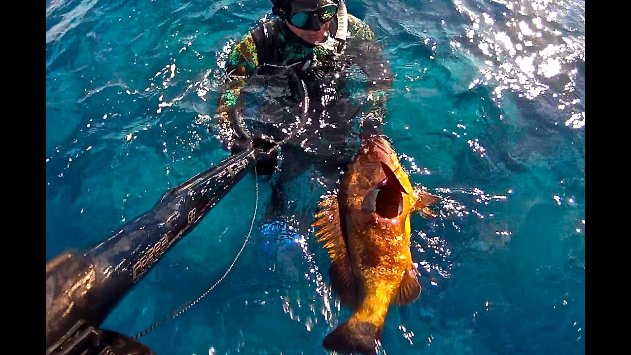 Ψαροντουφεκο ρηχο και βαθυ Καλοκαιρι 2016 Spearfishing Summer 2016 ...