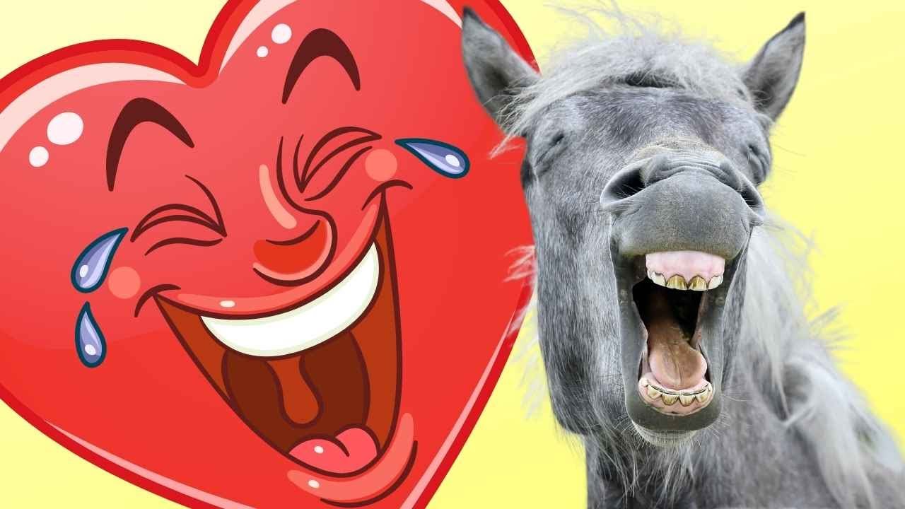 The Best Contagious Laugh Compilation - YouTube