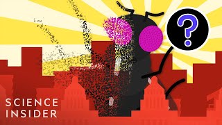 What if Red Color Disappeared? | #aumsum #kids #science #education # ...