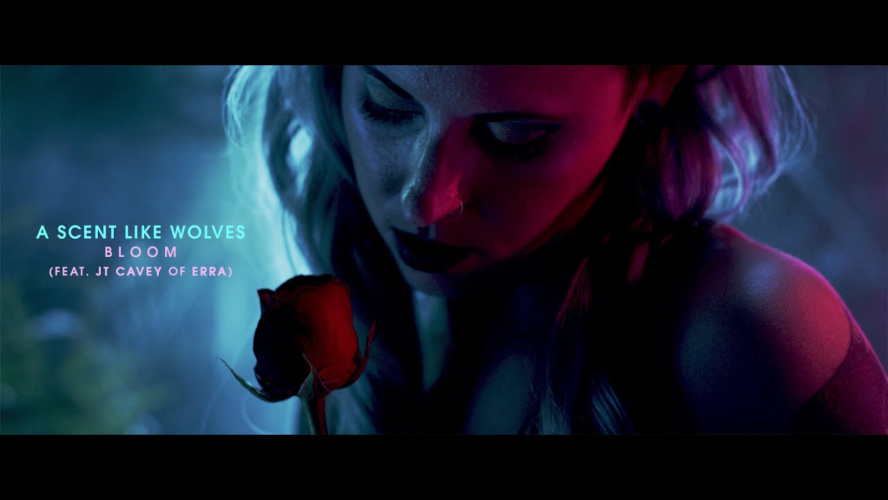 A Scent Like Wolves - Bloom (feat. JT Cavey of ERRA) (OFFICIAL MUSIC ...