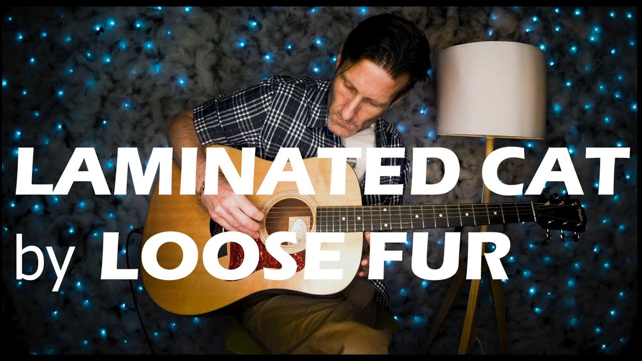 Laminated Cat - Loose Fur (Live Acoustic Guitar cover by Andy Unsworth ...
