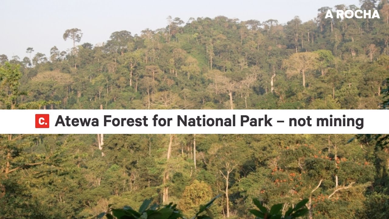 Atewa Forest for National Park: campaign update - YouTube