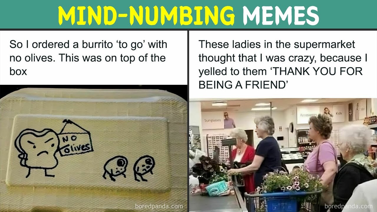 50 Hilariously Stupid Memes To Brighten Your Day. - YouTube