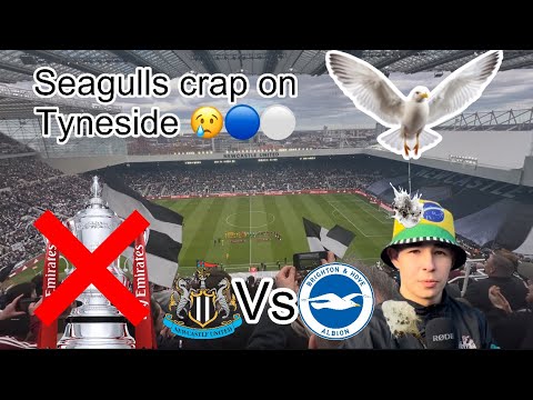 Seagulls crap on Tyneside | Newcastle 1-2 Brighton | fa cup matchday vlog - YouTube