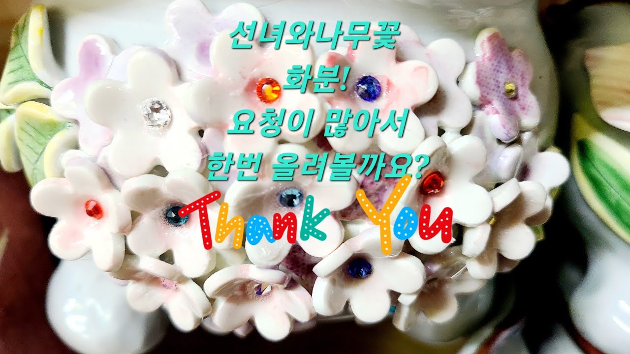 2022년 10월13일 선녀와나무꽃국민다육 방문구매4개5000원 신상안내화분다육화분신상안내다육금화분택배다육택배