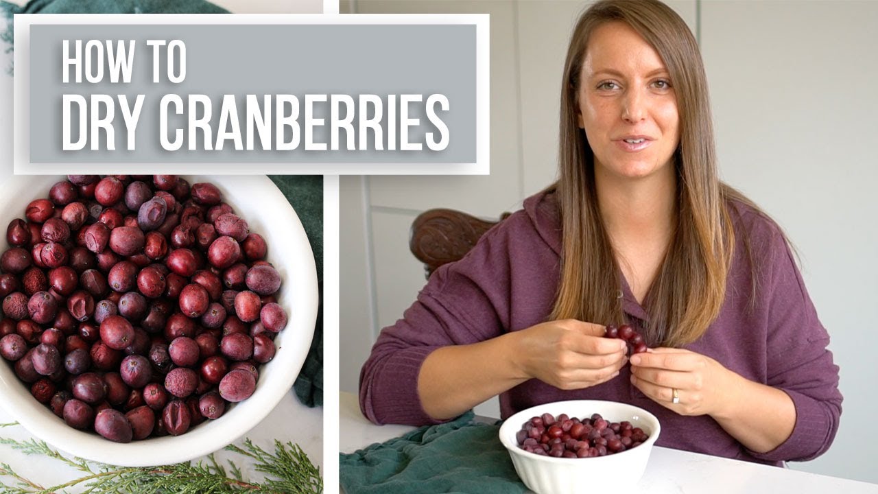 Dried Cranberries