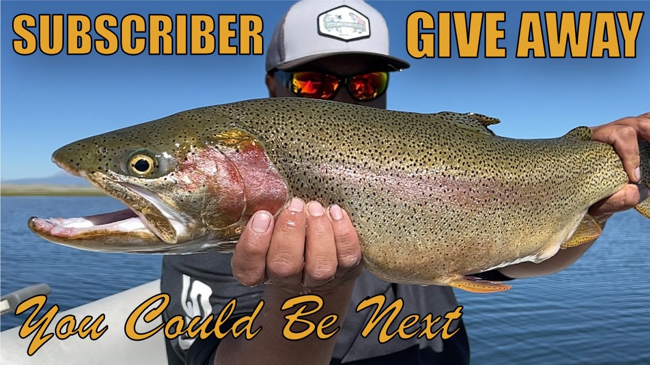 FLY GUY - Fly Fishing Spinney Mountain Reservoir and Catching BIG TROUT ...