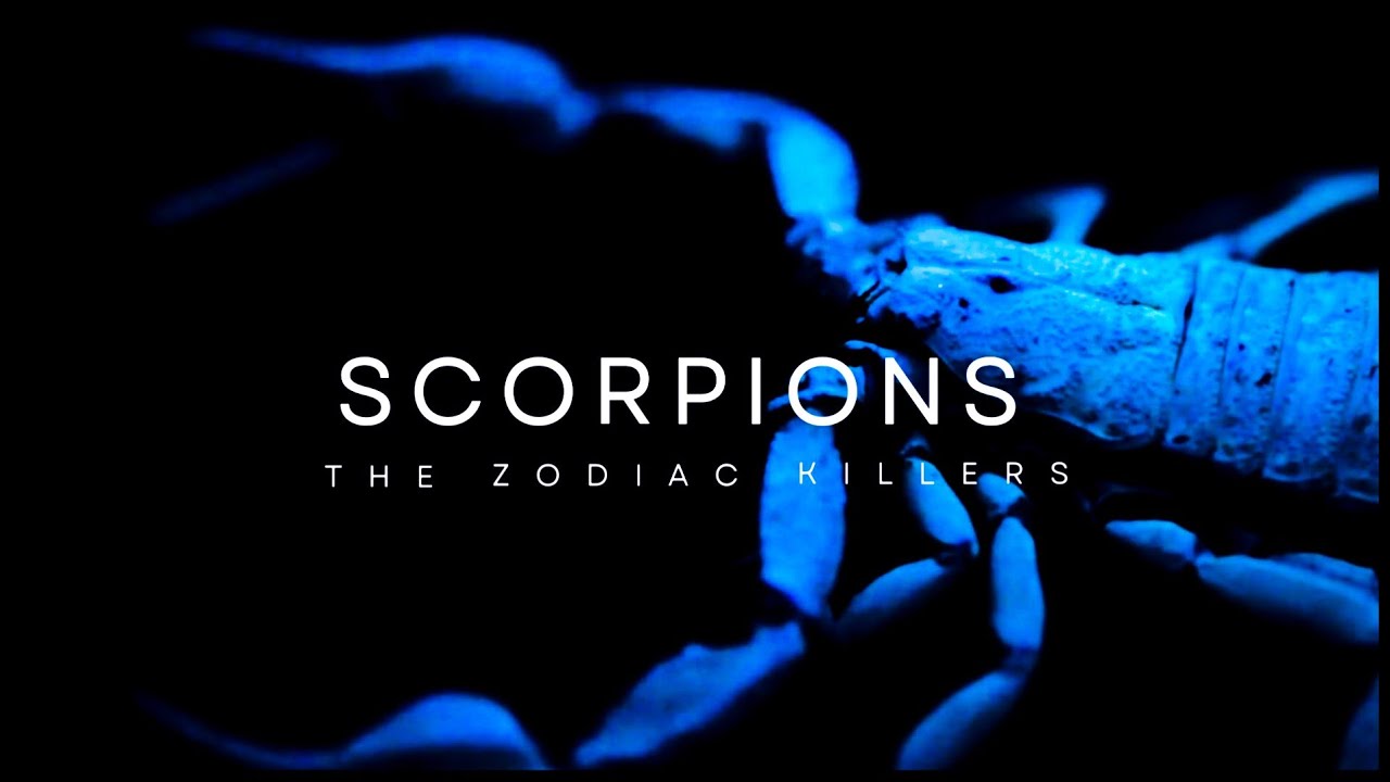 "Deadly Secrets of Scorpions: Uncovering the Zodiac Killers ...
