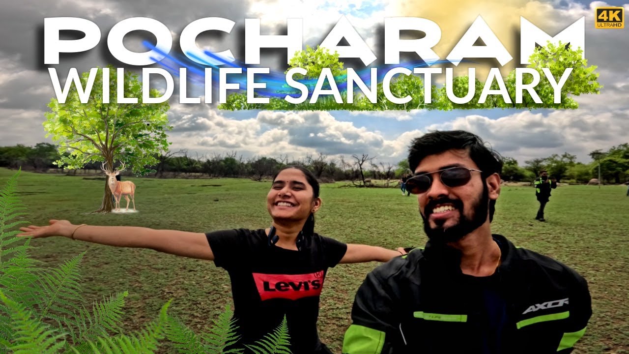 📍POCHARAM WILDLIFE SANCTUARY, MEDAK 🐅🌳 | AMAZING ROADS 🏞️🛣️ | TELUGU ...