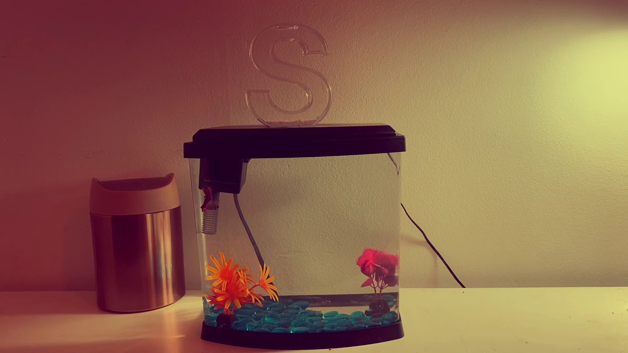 Serenity- Keysha Taylor - YouTube