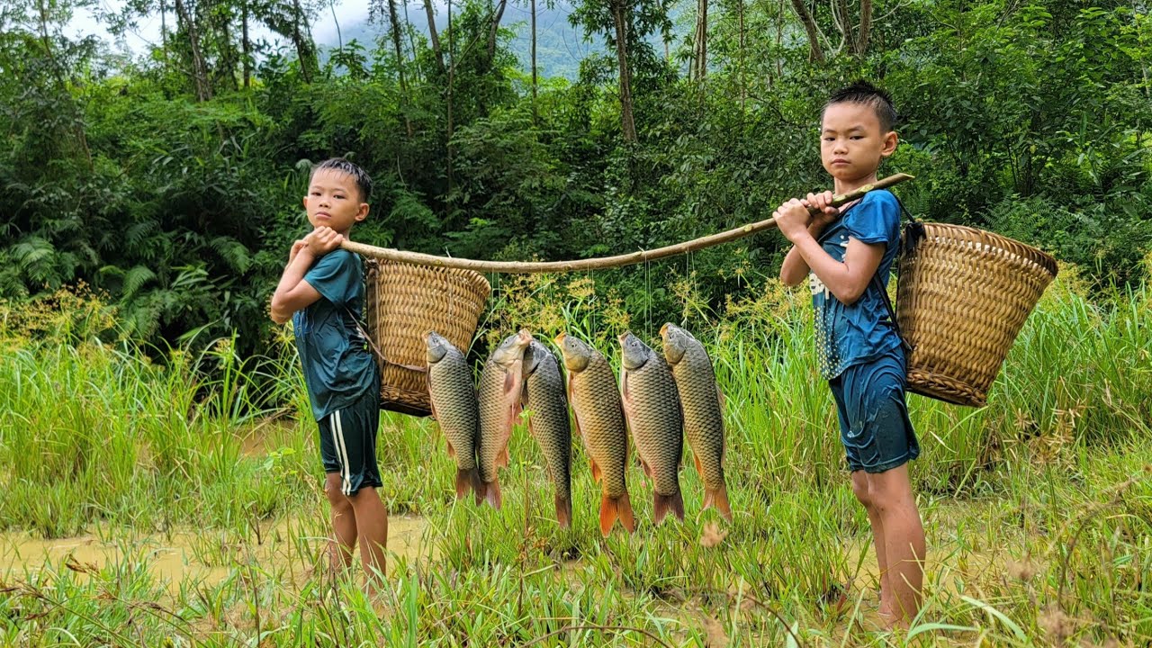 Encountered a large school of fish. catch fish and trap fish. a flock ...