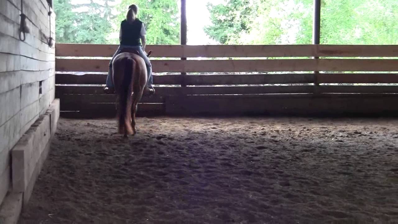 libby riding(2/2) - YouTube