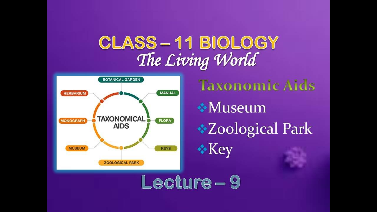 #9 #Biology #Class11 Museum || Zoological Park || Key || Taxonomic Aids ...