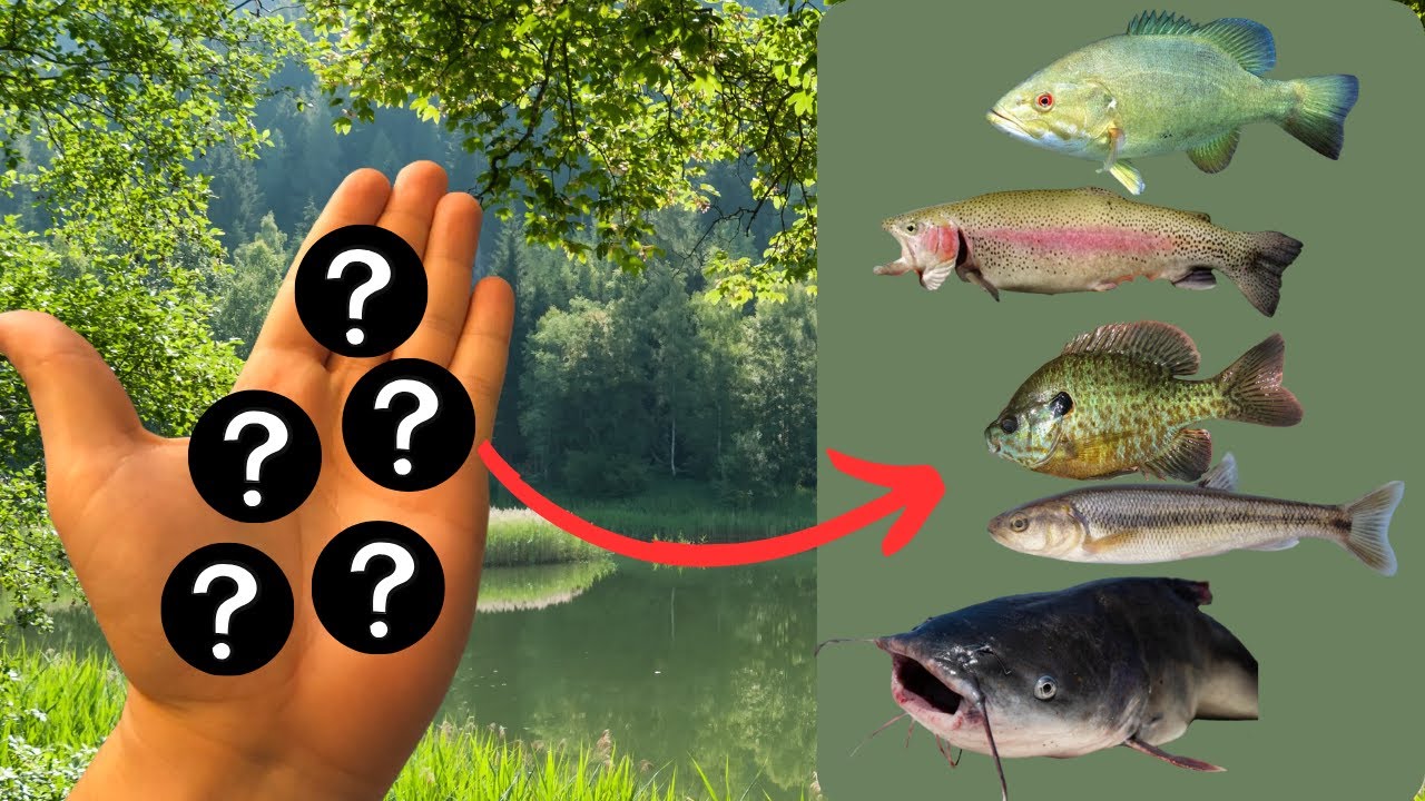 Don't Miss the 5 best Multi-Species fishing Lures this year! - YouTube
