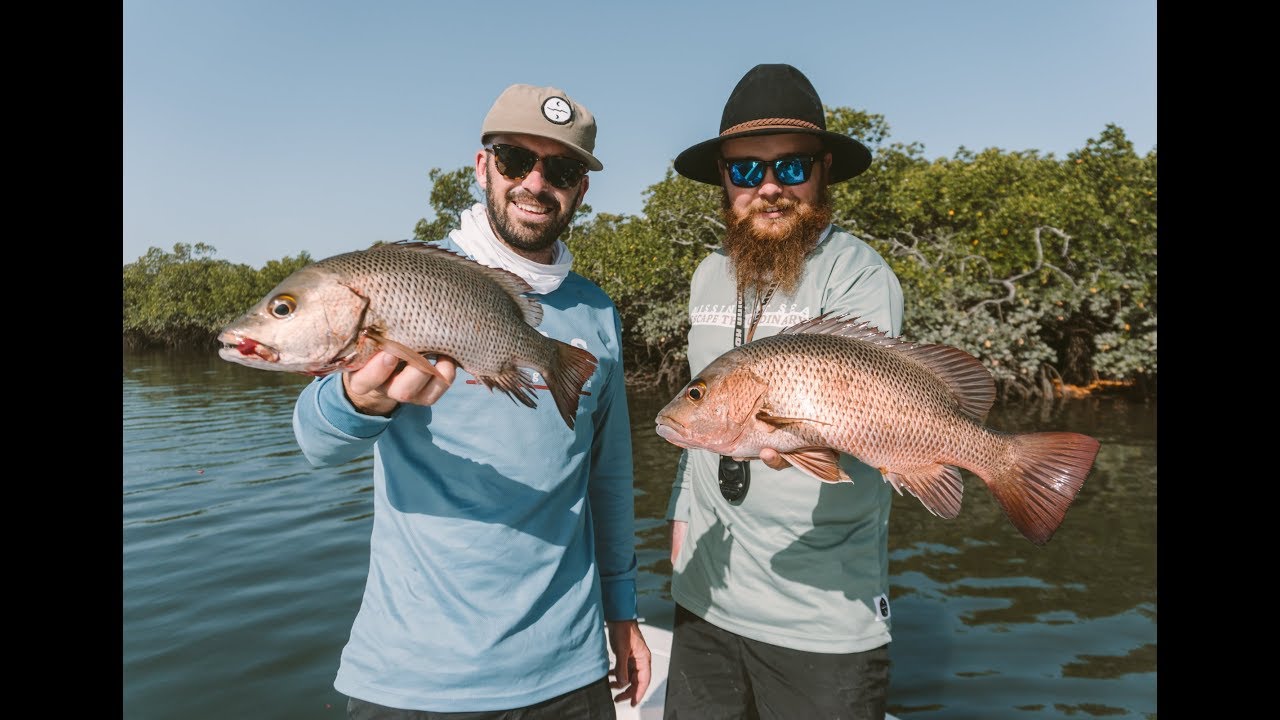 Top Water Jacks - (Mangrove Jack Fishing) - YouTube