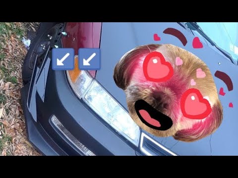 carbon fiber canards install on project car - YouTube