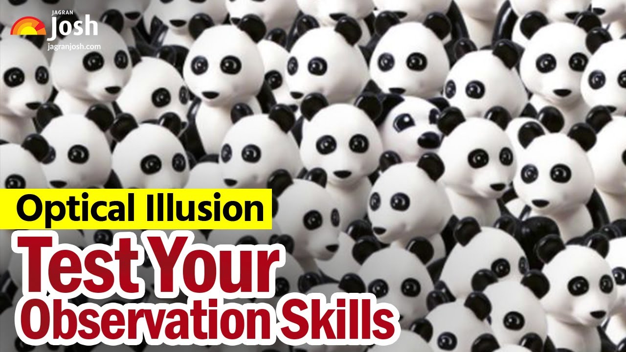 Optical Illusions To Challenge Your Mind - YouTube