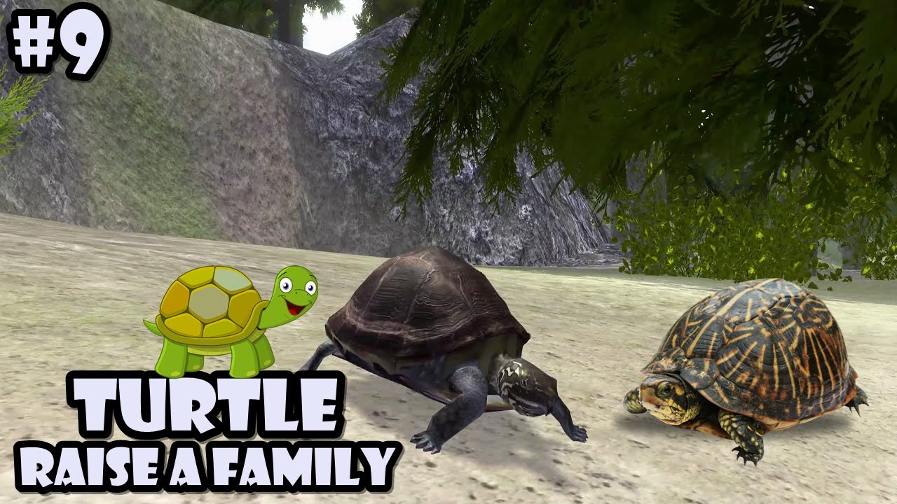 Ultimate Forest Simulator - Turtle : Raise a Family - Android/iOS ...