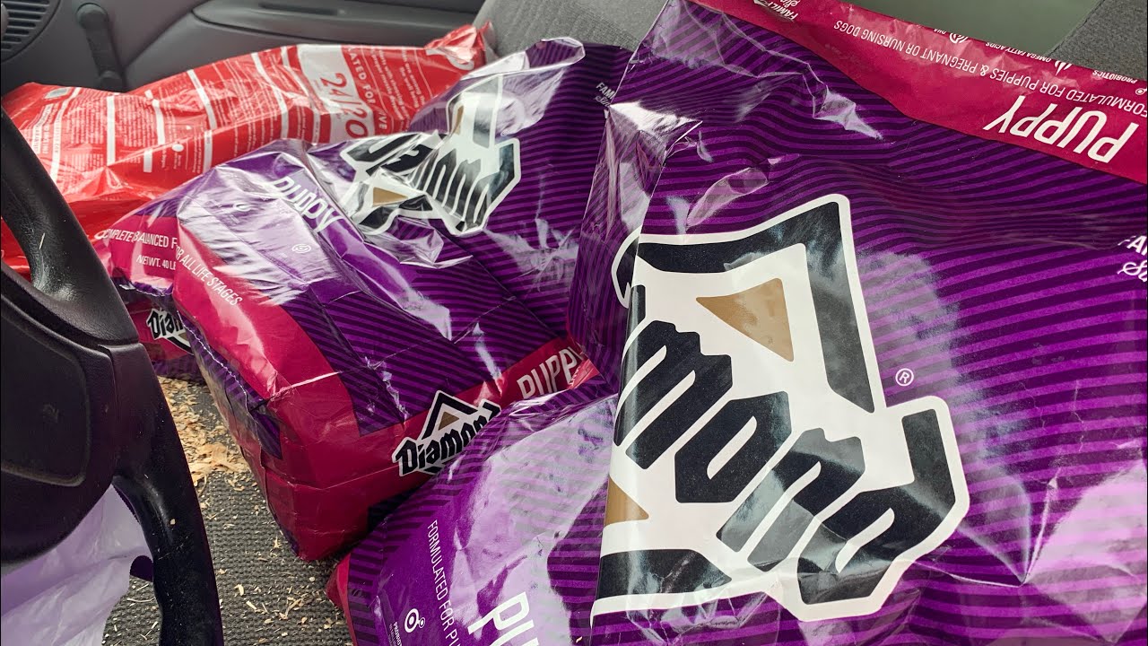 Went To Get Dog Food And Trying Out A New Breed Today tapp In went-to-get-dog-food-and-trying-out-a-new-breed-today-tapp-in