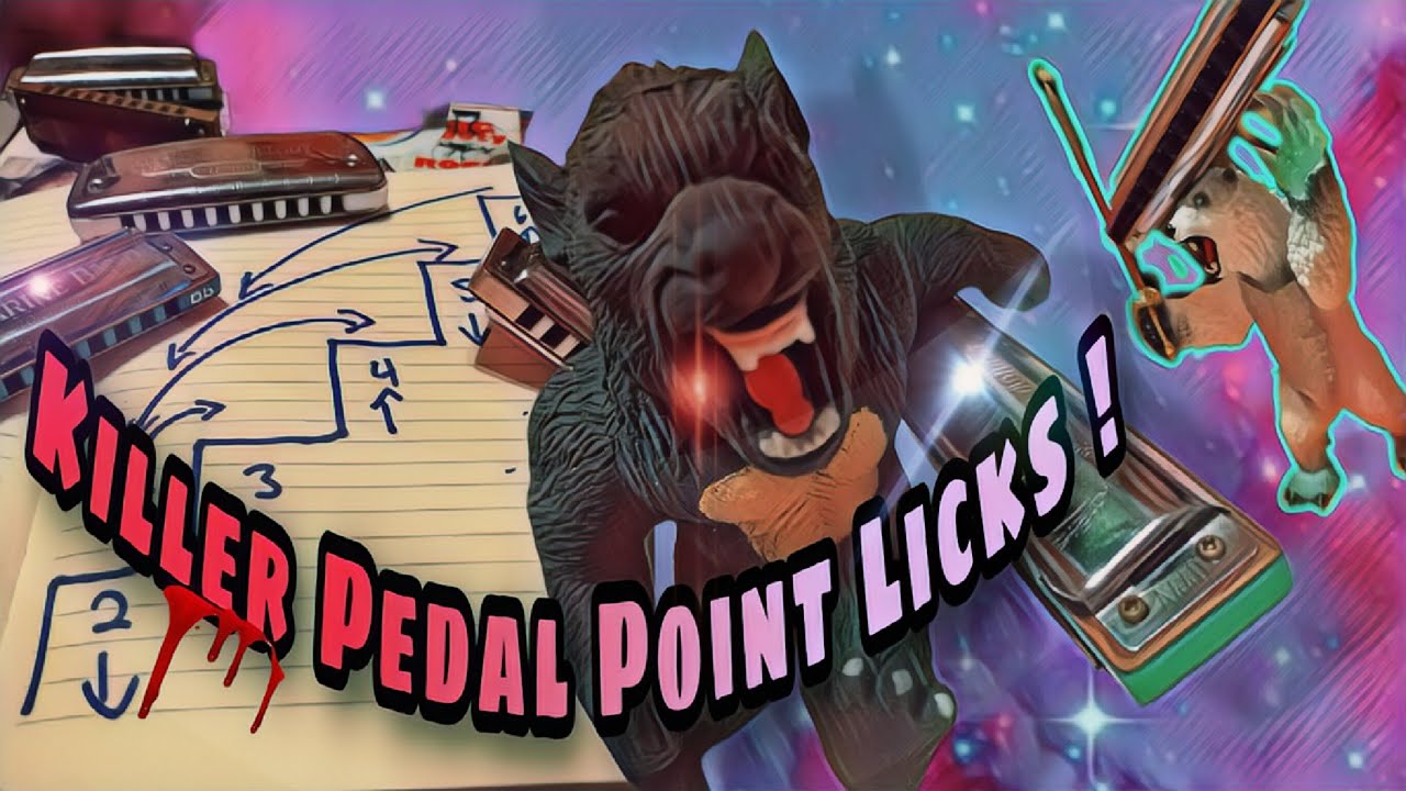 Killer Pedal Point Blues Harp Licks! ("C" Harmonica) 🐺 - YouTube
