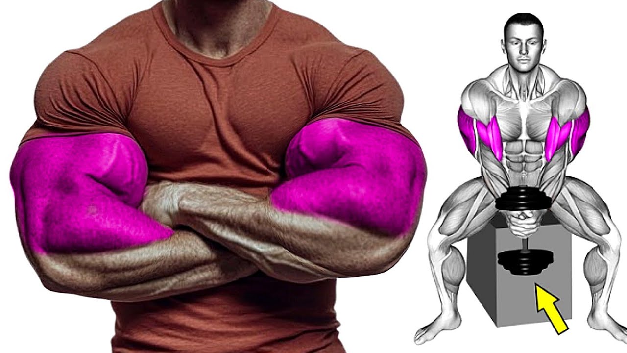 Bigger and Wider Arms Training Routine You Need - YouTube