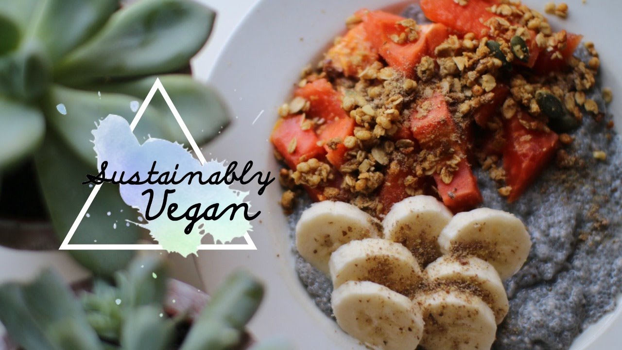 7 Easy Vegan Food Swaps ♡ How to Get Started - YouTube