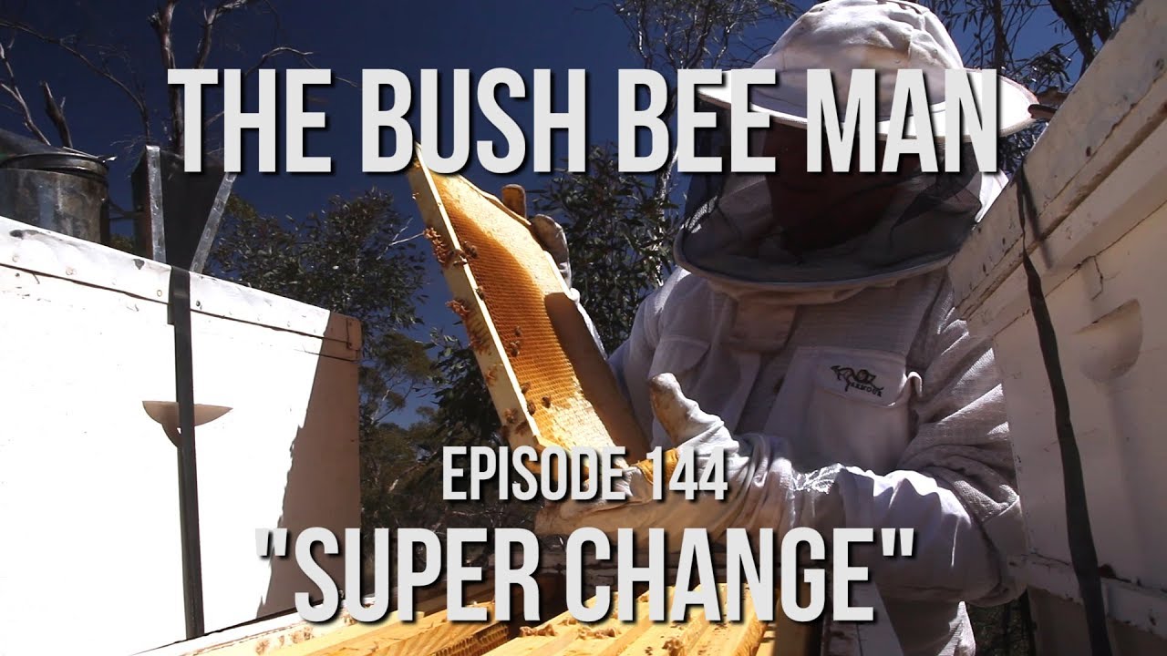Mallee Honey Inspection - The Bush Bee Man - YouTube