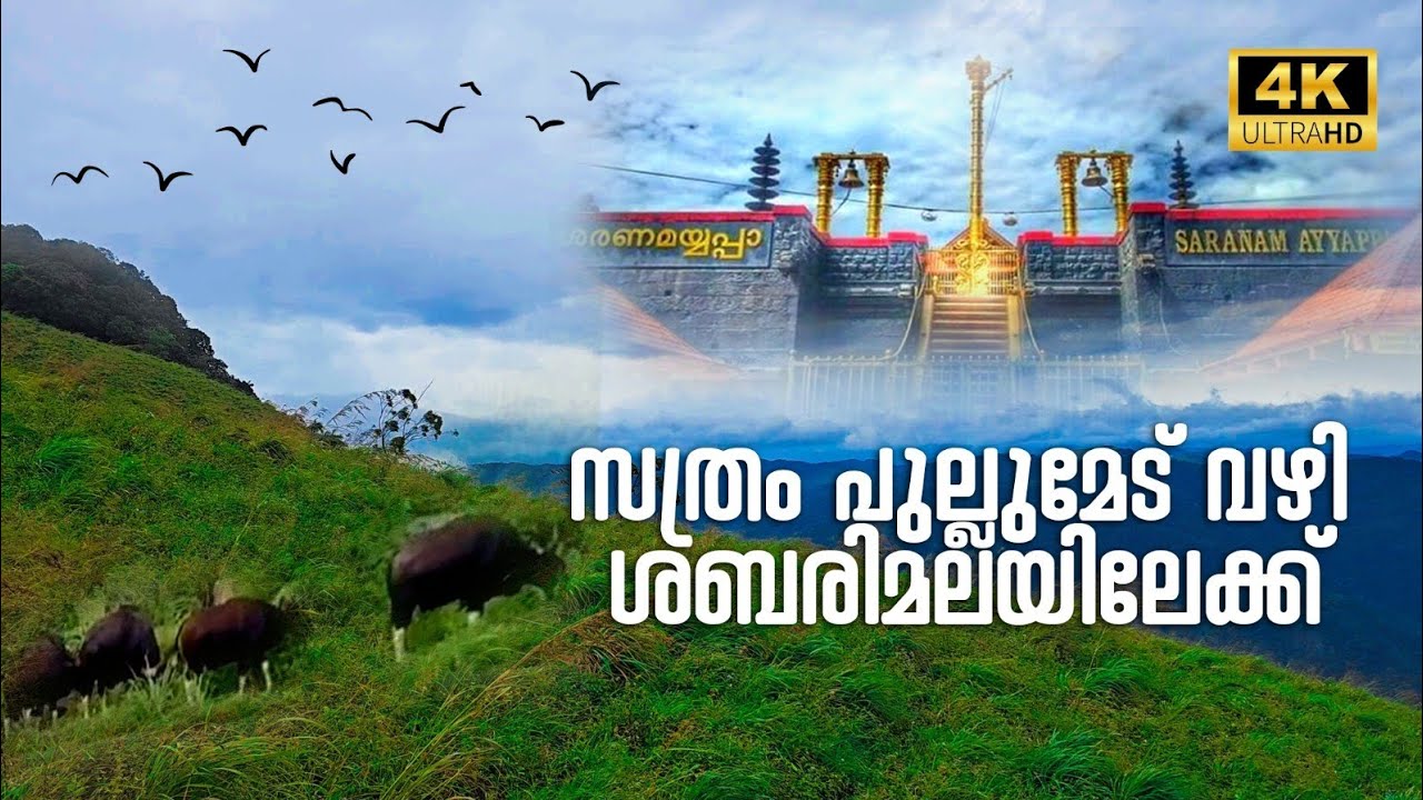Sabarimala Yatra | Vandiperiyar - Sathram - Pullumedu | Periyar Tiger ...