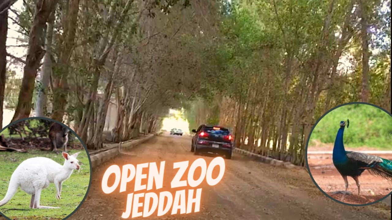 jeddah asfan zoo / asfan zoo jeddah / jeddah zoo / jeddah vlogs ...