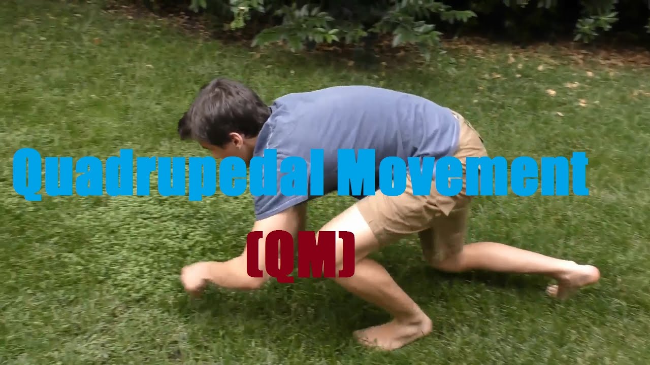 Quadrupedal Movement (QM) Tutorial - YouTube